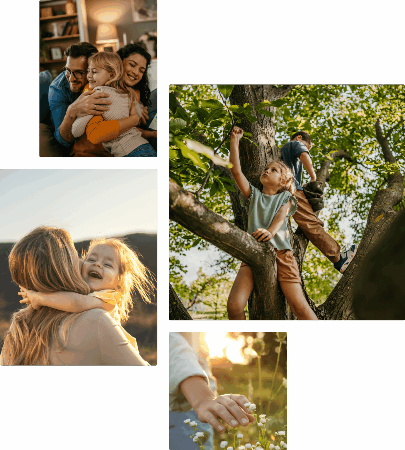 About Us – Infectopharm